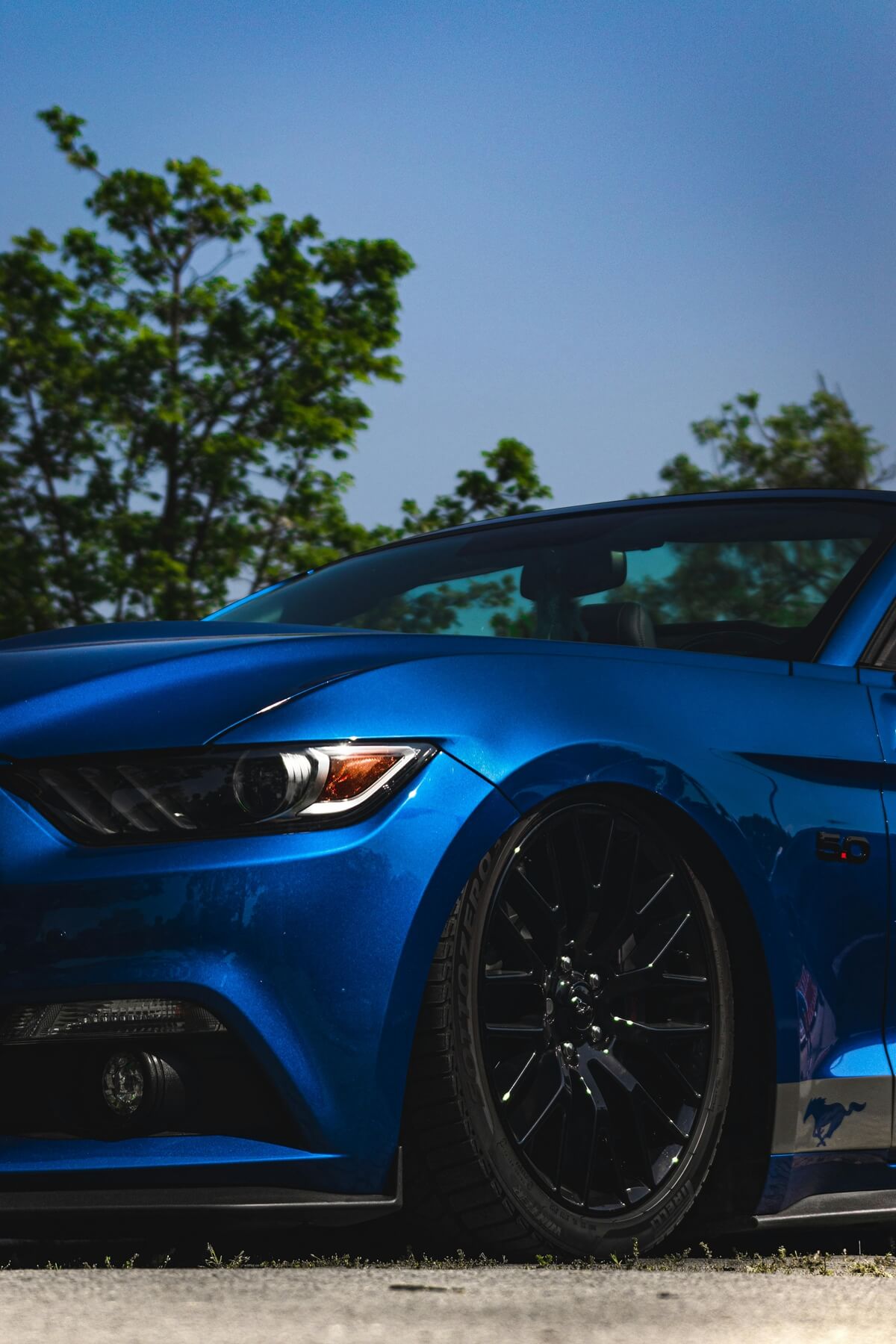 Coverado：Focus on Vehicle Seat Covers